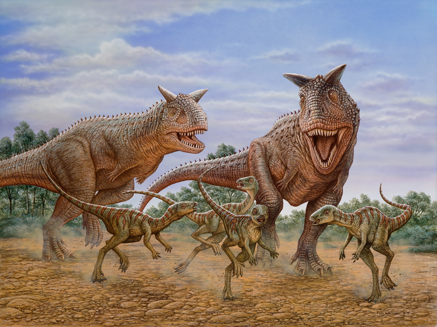 Carnotaurus | Dinosaursandanimal231 Wikia | Fandom Carnotaurus | Dinosaursandanimal231 Wikia | Fandom