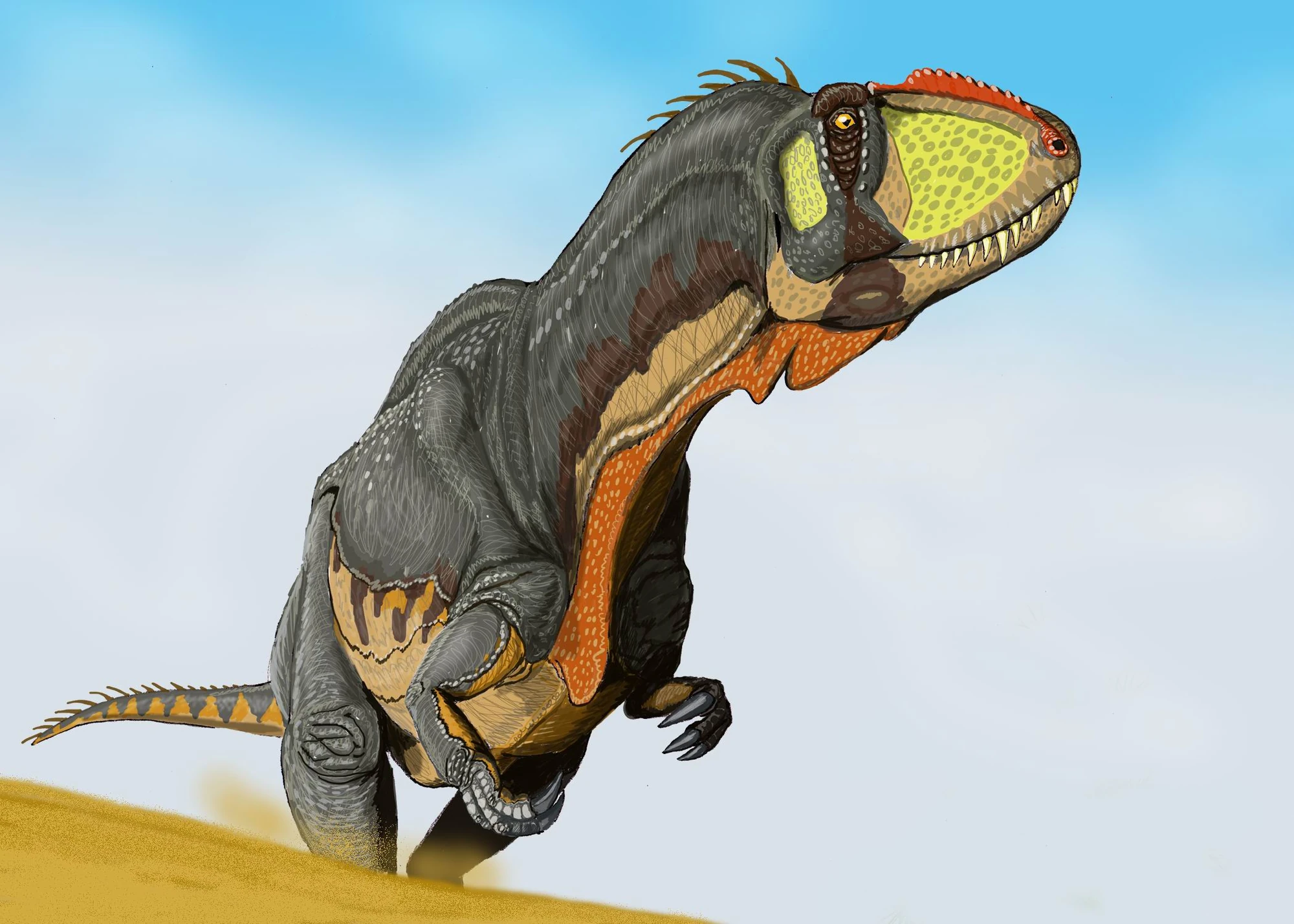 Yangchuanosaurus | DinosaursfromTriassic-Cretaceous Wiki | FANDOM ...