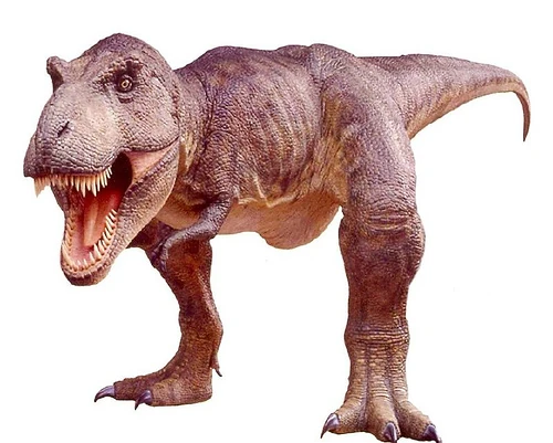 Tyrannosaurus | Dinosaurs Wiki | FANDOM powered by Wikia