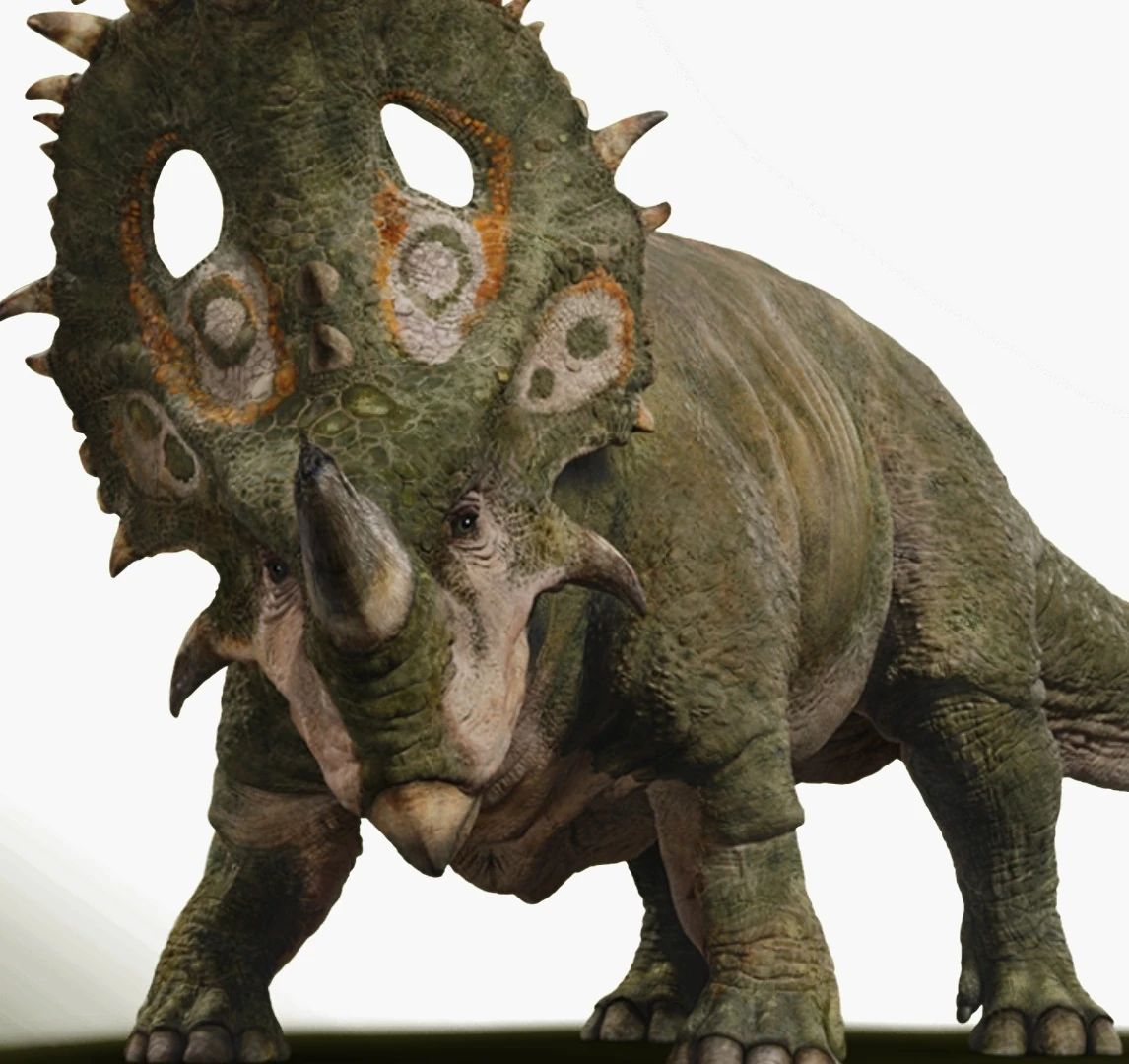 Sinoceratops | Dinosauruspuisto Wiki | FANDOM powered by Wikia