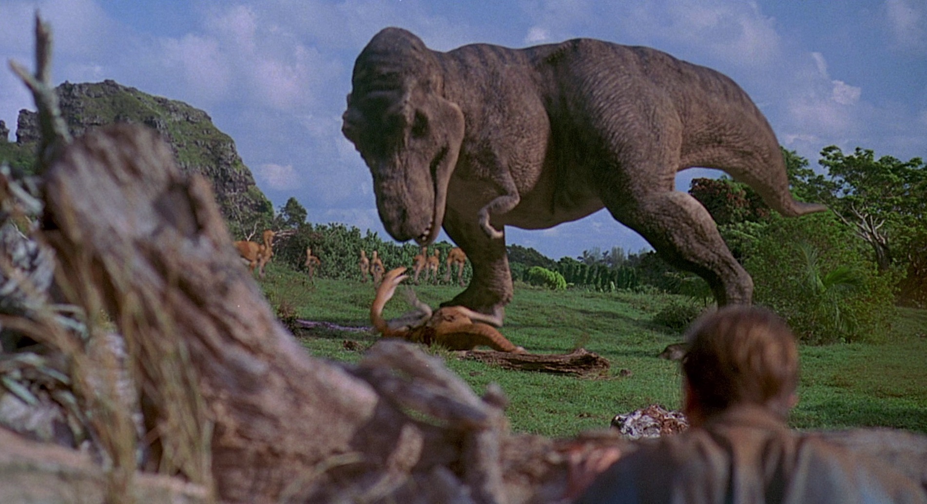 Image - Jurassic Park 1993 tyrannosaurus rex rexy gallimimus 2.jpg ...