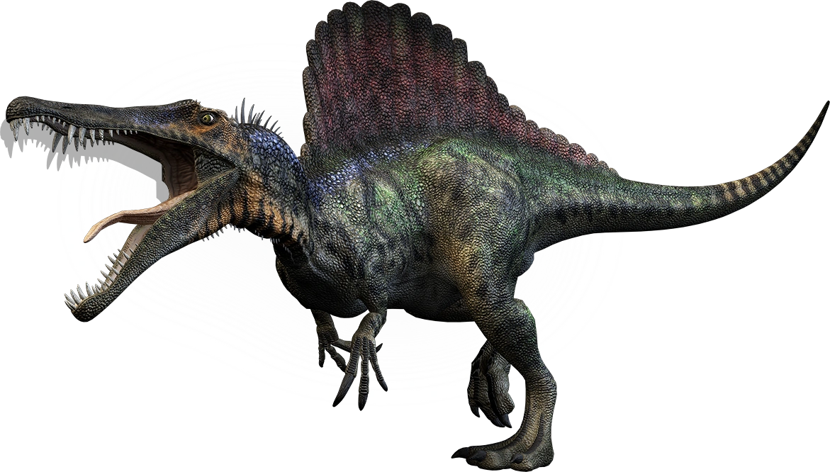 Imagen - Spinosaurus.png | Wiki Dinoschool | FANDOM powered by Wikia