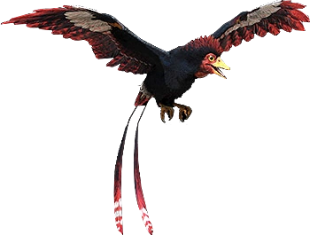 Alexornis | Wiki Dinoschool | FANDOM powered by Wikia