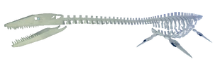 Thalassomedon | Dinosaur Simulator Wiki | Fandom