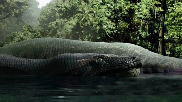 Titanoboa | Wiki pre-historia | Fandom