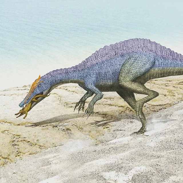 Irritator | Wiki pre-historia | Fandom