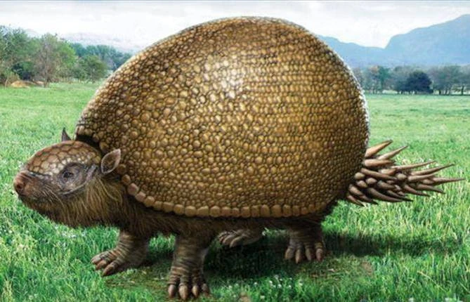 Glyptodon | Wiki pre-historia | FANDOM powered by Wikia