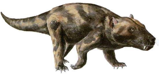 Categoría:Cinodontes | Wiki Dinosurio | FANDOM powered by Wikia