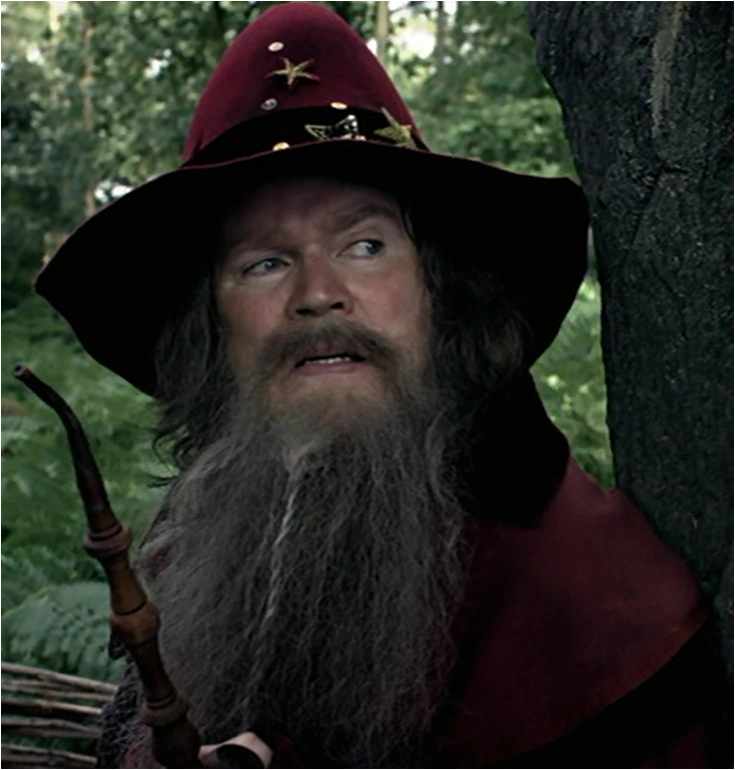 Wizard leader | Discworld Wiki | FANDOM powered by Wikia