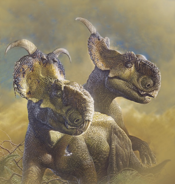 Pachyrhinosaurus | Disney Animals Wiki | Fandom