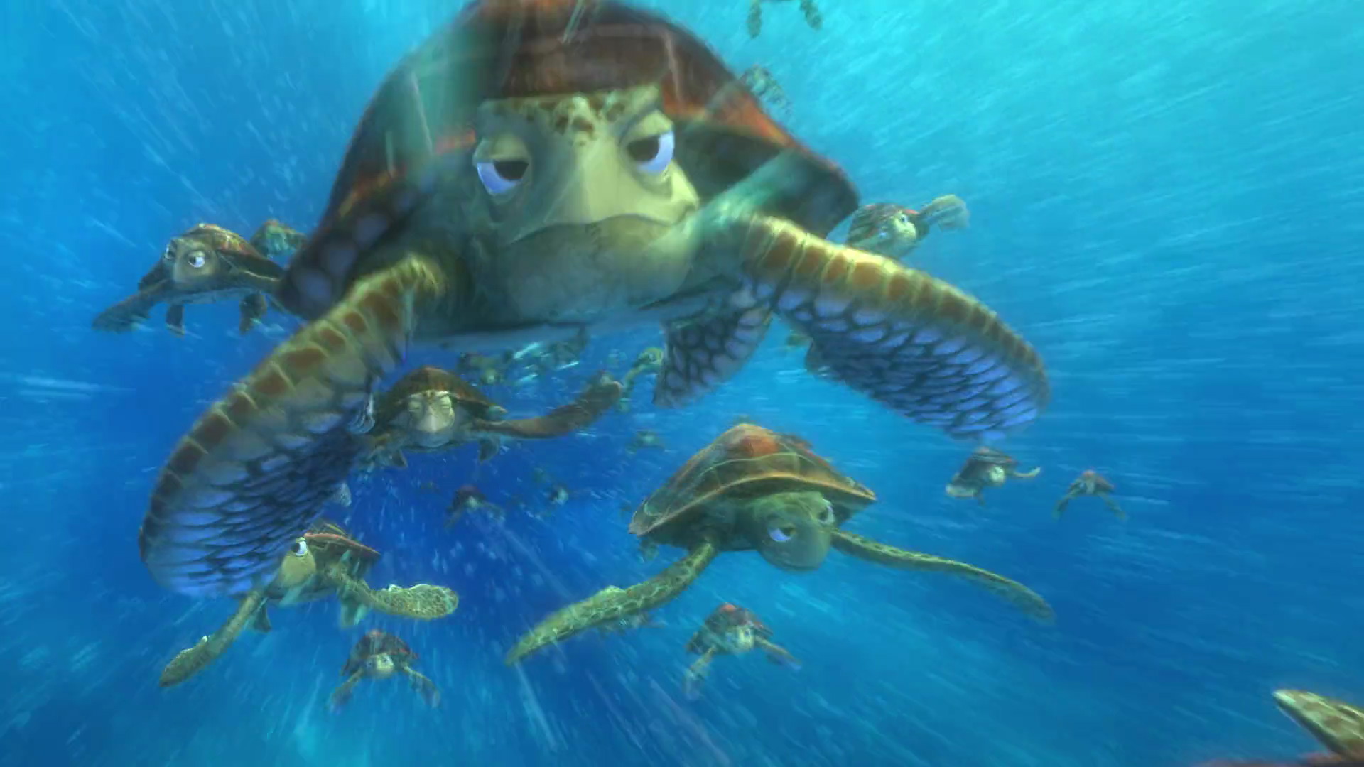List of Species seen in Finding Nemo | Disney Animals Wiki | Fandom