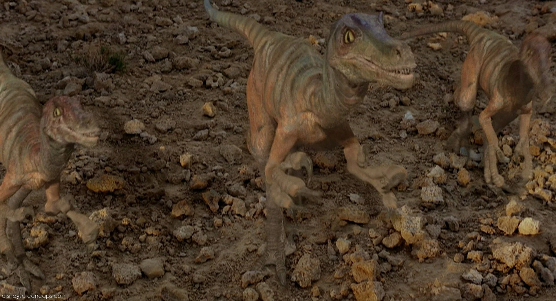 Image - Velociraptor 2.jpg | Disney Fan Fiction Wiki | FANDOM powered ...