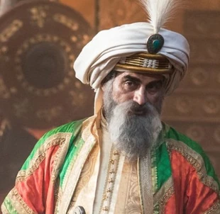 The Sultan | Disney Live Action Remakes Wiki | Fandom
