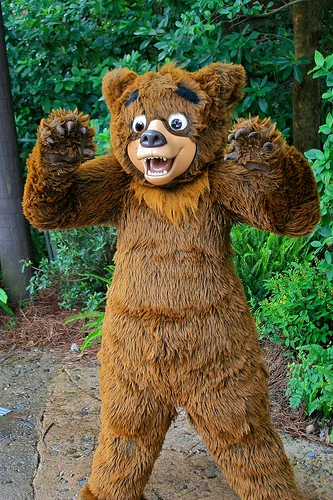 Koda | Disney Park Characters Wiki | Fandom