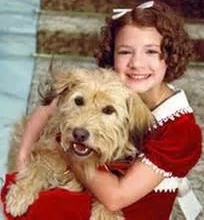 Sandy (dog) | Disney Wiki | Fandom