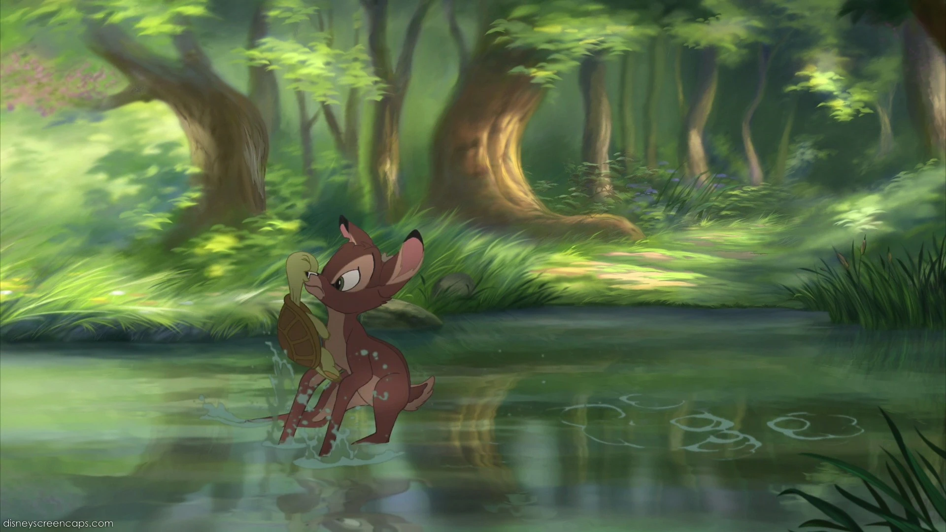 Forest | Disney Wiki | Fandom