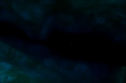 Abyssopelagic Zone | Disney Wiki | Fandom