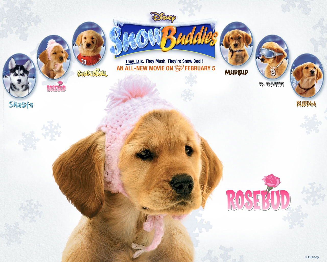 Image Snow Buddies Rosebud jpg Disney Wiki FANDOM Powered By Wikia image-snow-buddies-rosebud-jpg-disney-wiki-fandom-powered-by-wikia