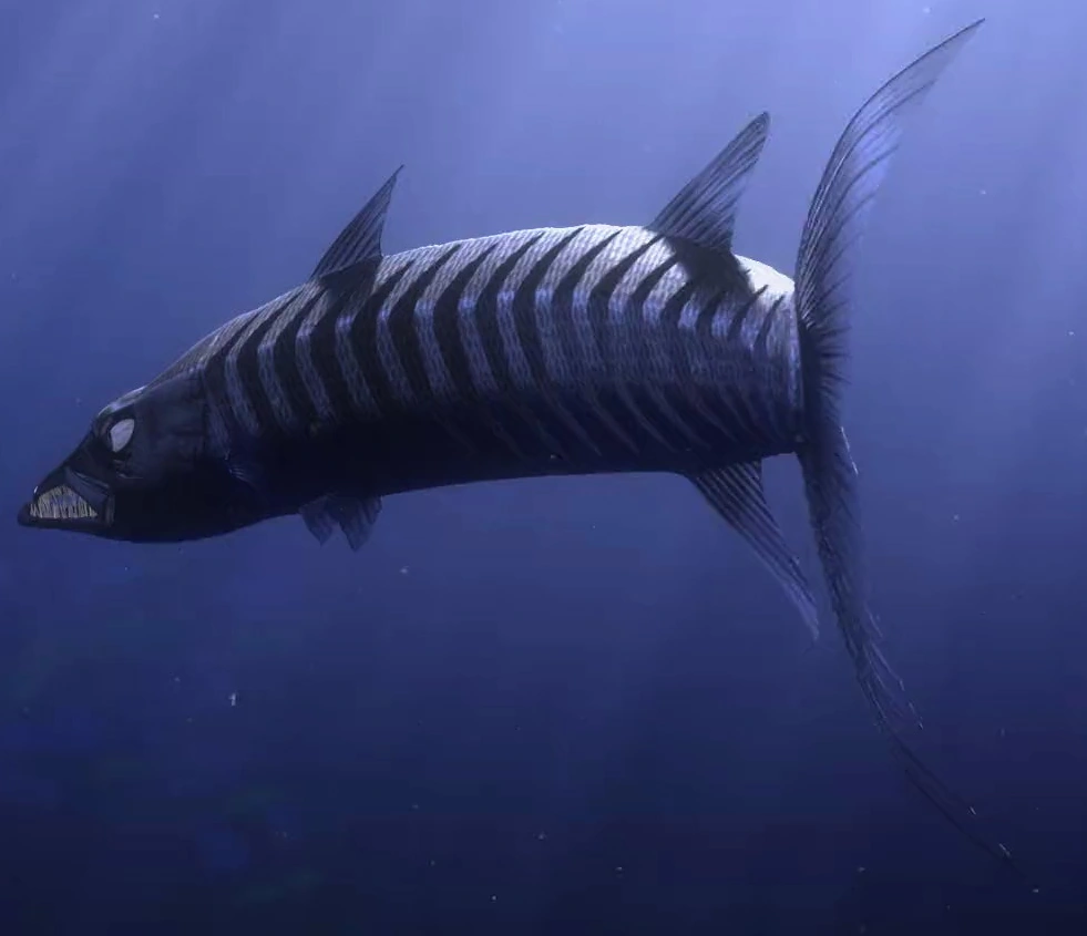 Barracuda | Disney Wiki | Fandom