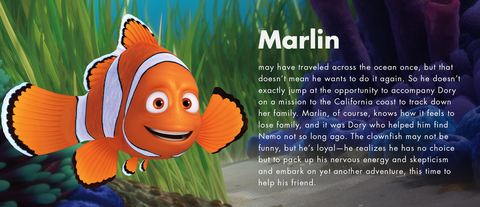 Image - Finding Dory Character Profiles 04.jpg | Disney Wiki | FANDOM ...