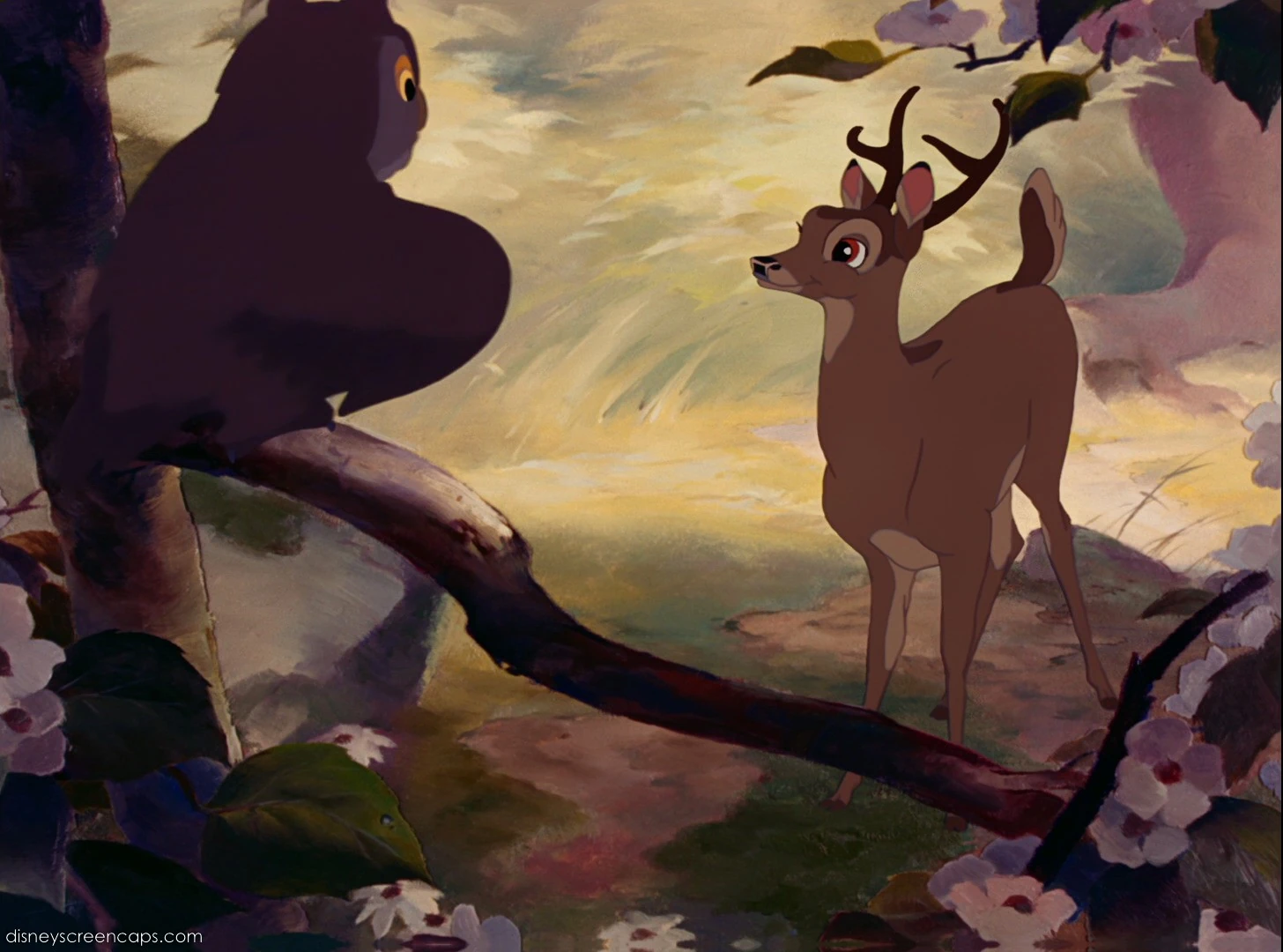 Image - Bambi-disneyscreencaps.com-5100.jpg | Disney Wiki | FANDOM ...