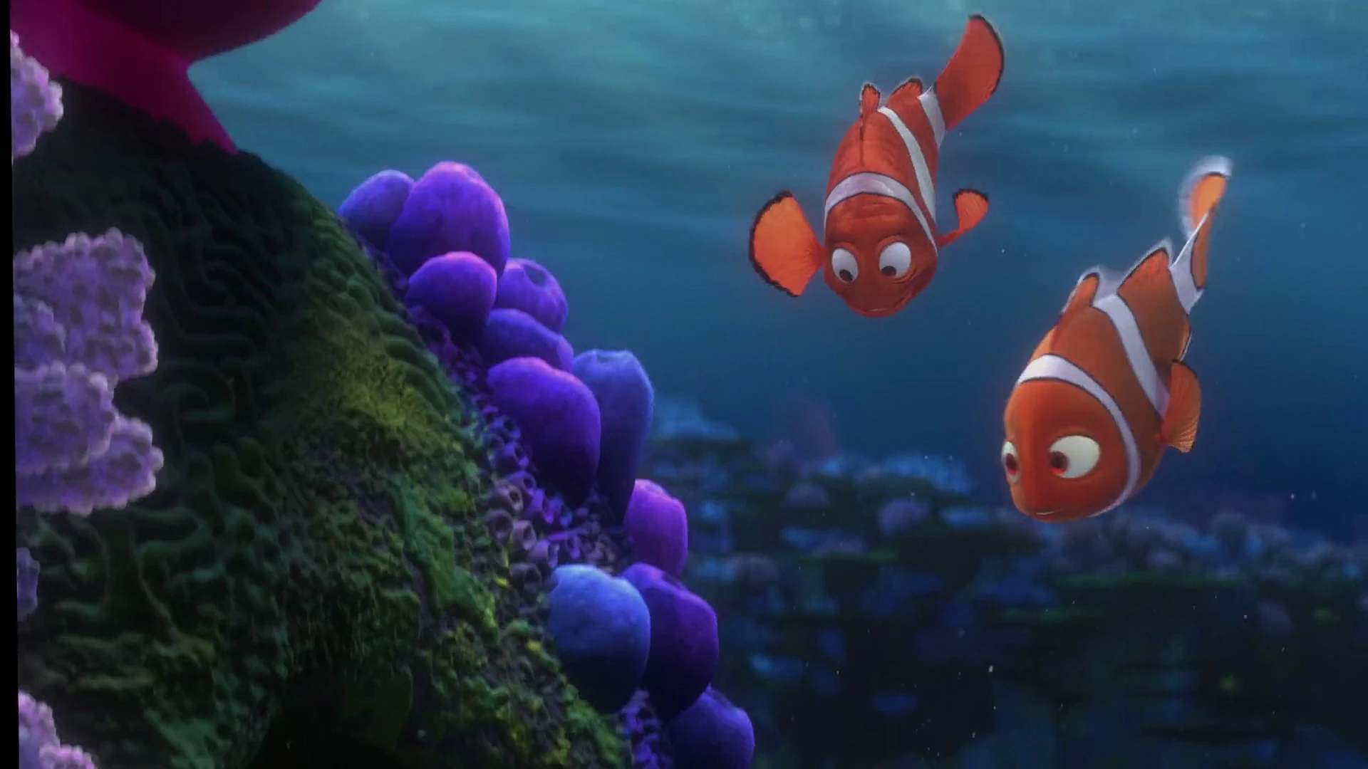 Image - Finding-nemo-disneyscreencaps.com-129.jpg | Disney Wiki ...