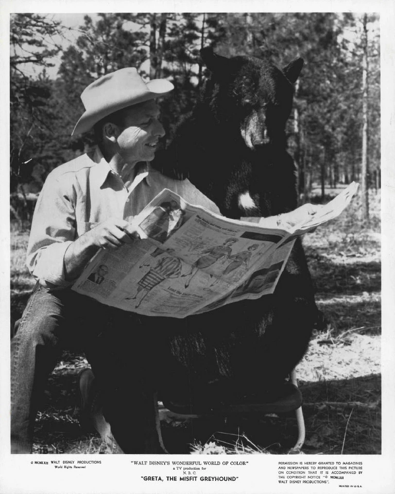 Greta, the Misfit Greyhound | Disney Wiki | Fandom