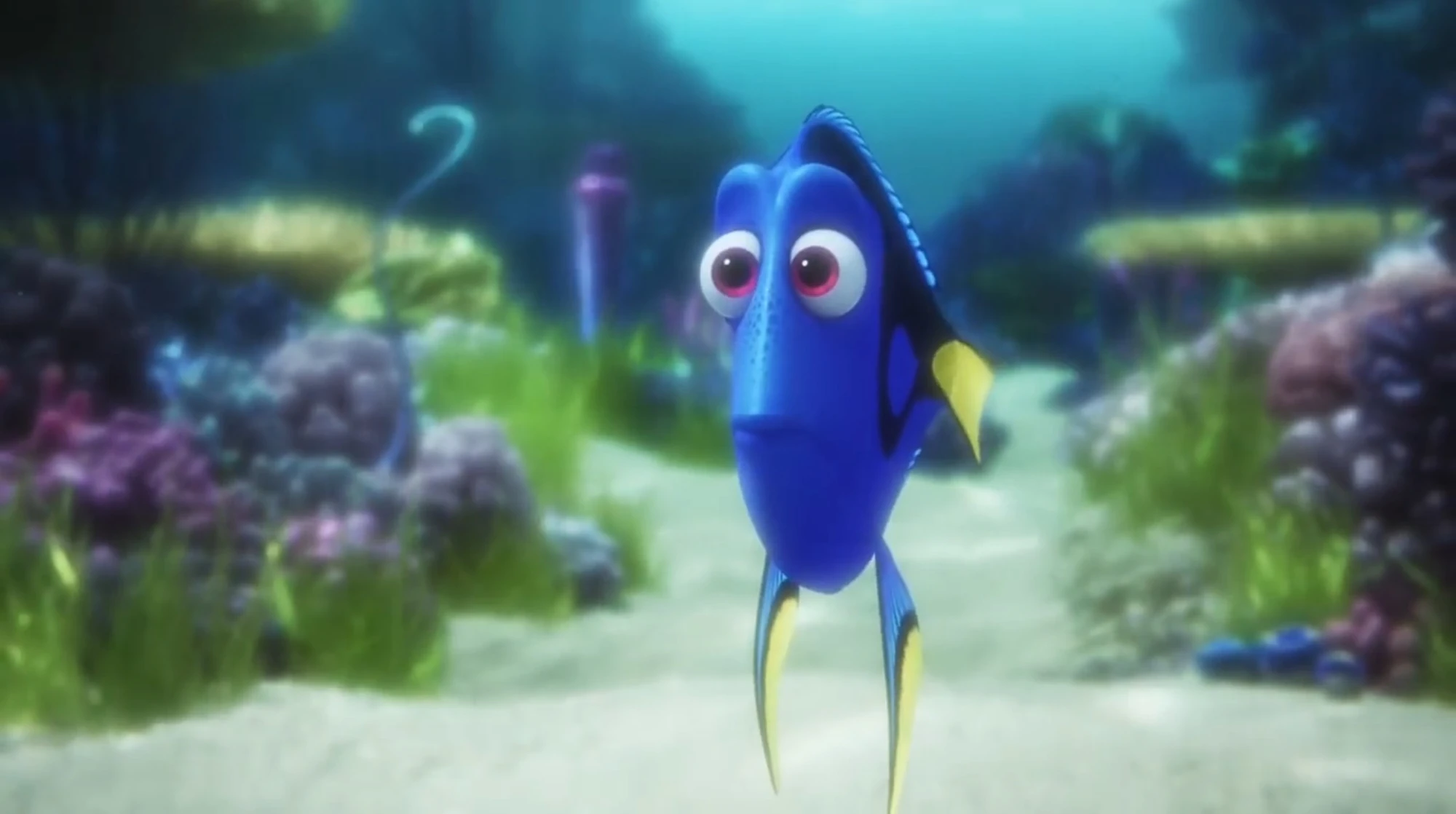 Image - Dory the Blue Tang Marine Life Interviews.jpg | Disney Wiki ...