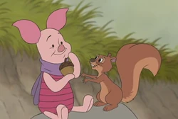 Squirrel | Disney Wiki | FANDOM powered by Wikia