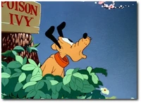 Springtime for Pluto | Disney Wiki | FANDOM powered by Wikia