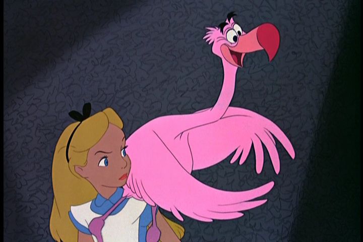 Image Alice In Wonderland With A Bird Disney Wiki Fandom Powered By Wikia