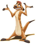 Timon/Gallery | Disney Wiki | FANDOM powered by Wikia