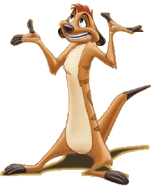 Image - Timon foto.gif | Disney Wiki | FANDOM powered by Wikia
