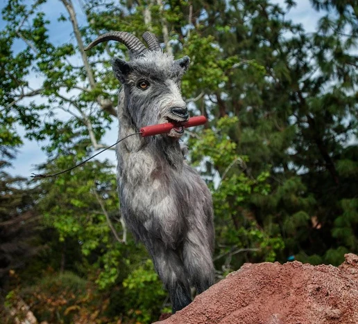 Billy the Disney Goat | Disney Wiki | Fandom