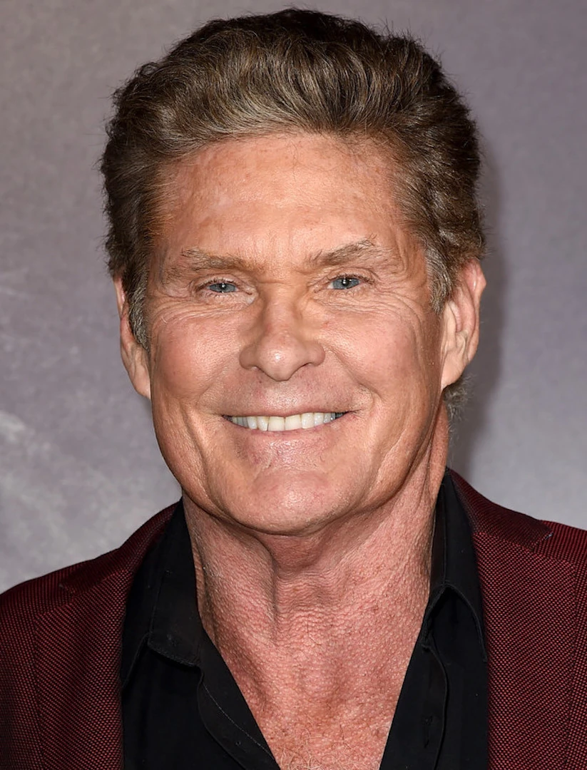 David Hasselhoff | Disney Wiki | Fandom
