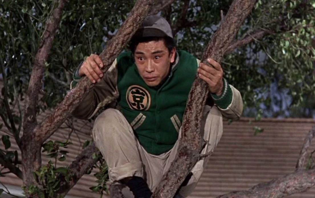 Mako Iwamatsu | Disney Wiki | FANDOM powered by Wikia