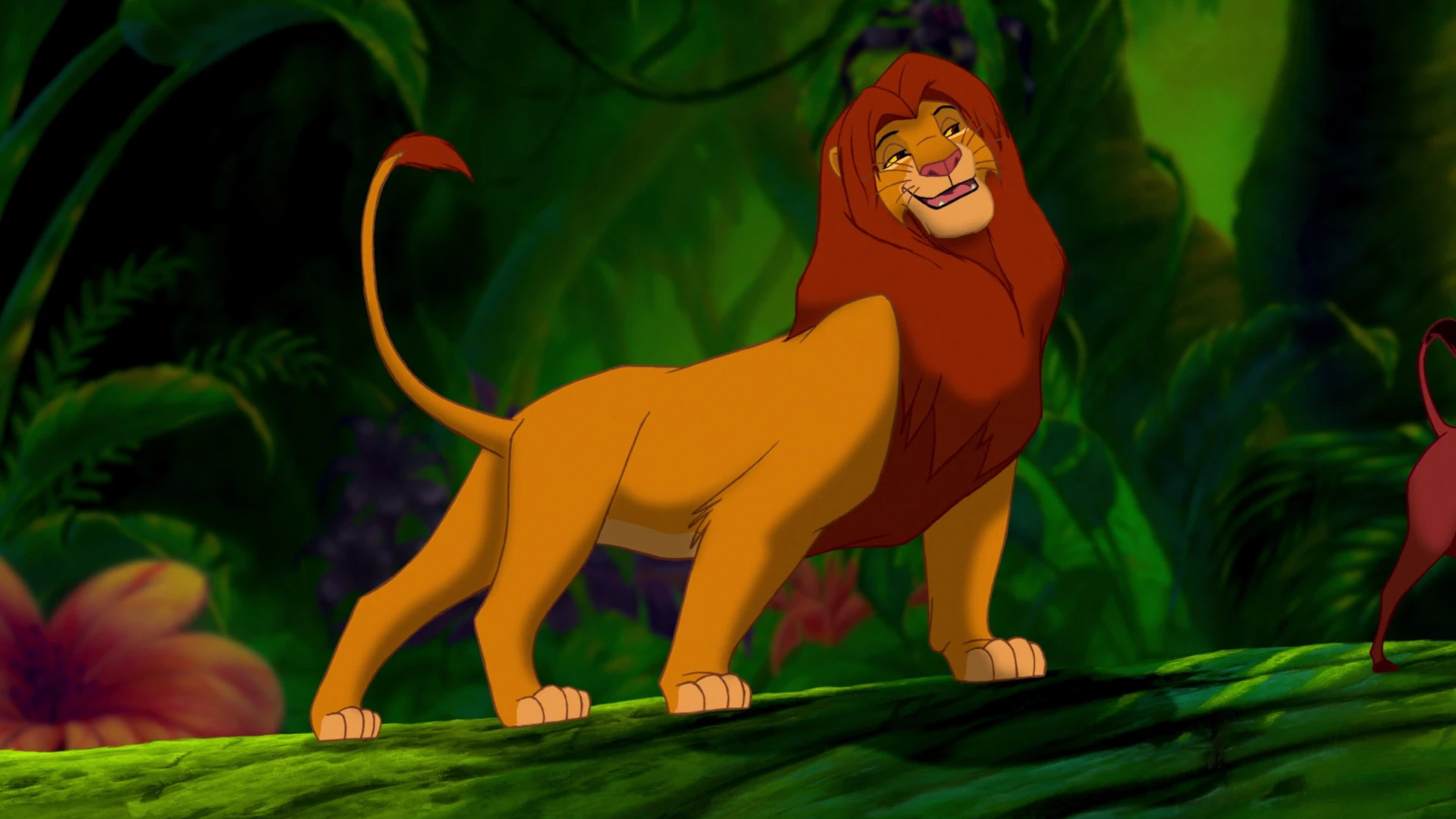 Simba | Disney Wiki | Fandom