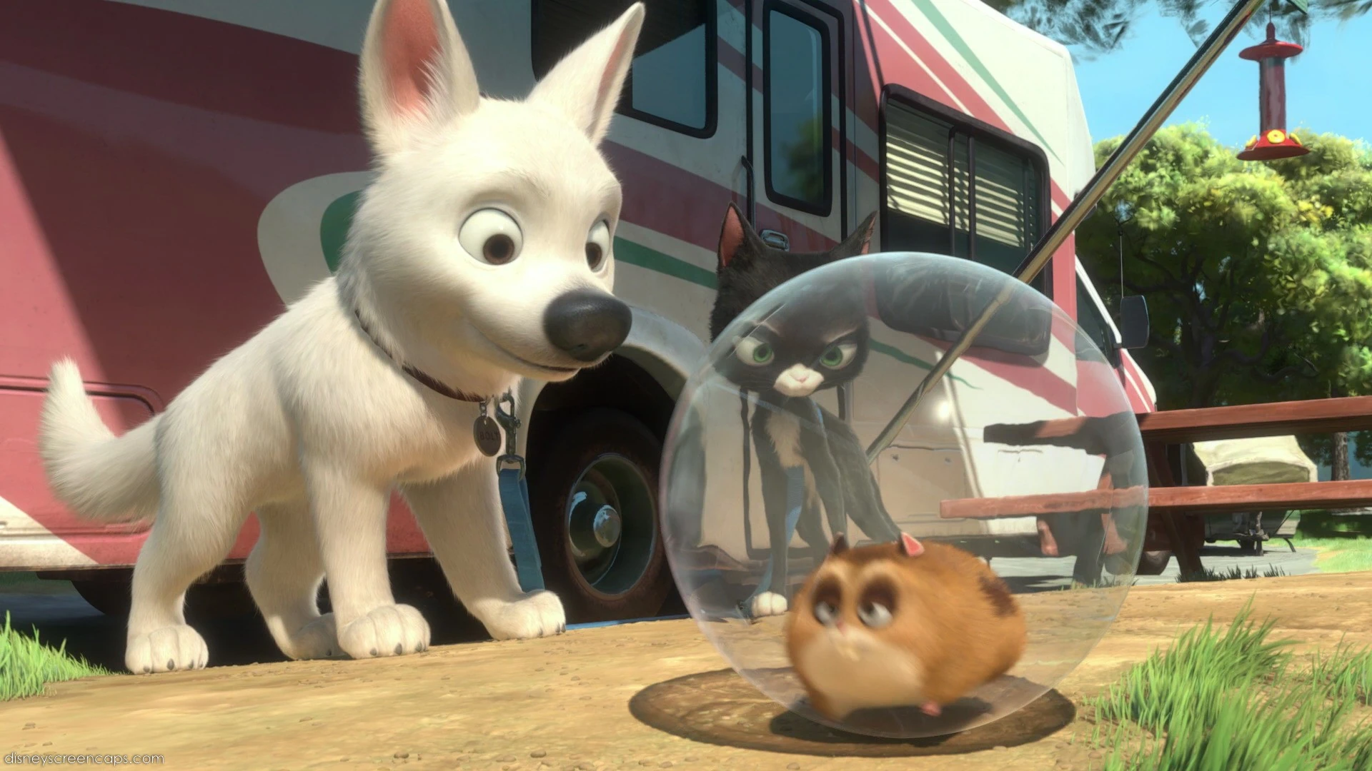Image - Bolt-disneyscreencaps.com-5382.jpg | Disney Wiki | FANDOM ...