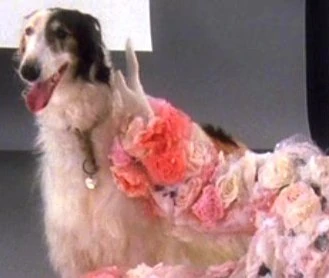 Digger (102 Dalmatians) | Disney Wiki | Fandom
