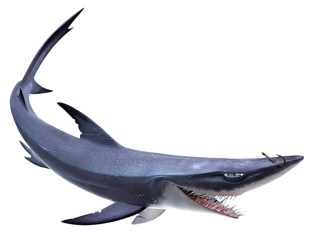 Chum | Disney Wiki | Fandom