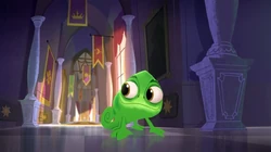 Pascal | Disney Wiki | FANDOM powered by Wikia
