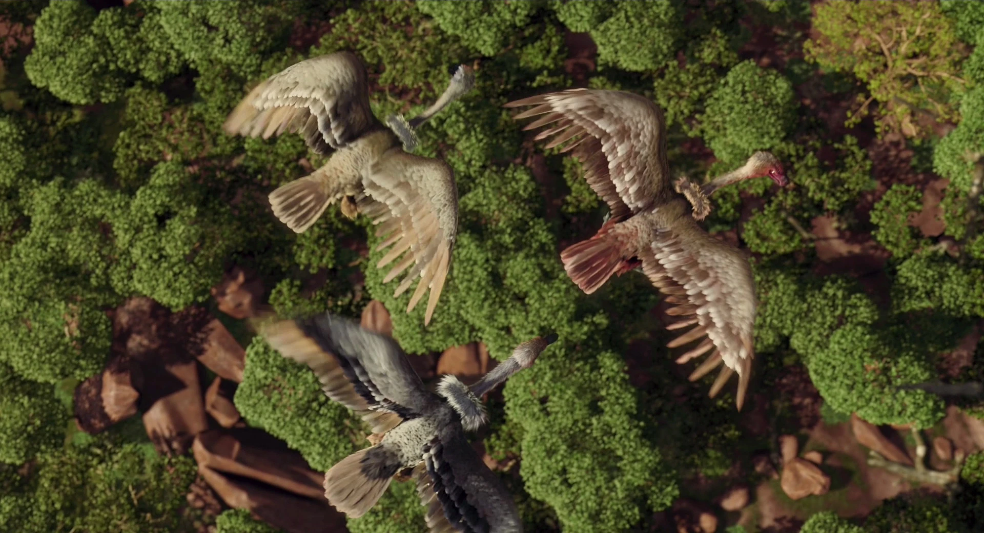 Image - The-wild-disneyscreencaps com-6430.jpg | Disney Wiki | FANDOM ...