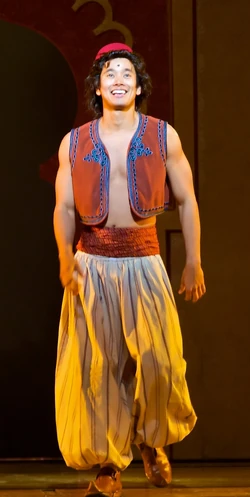 Aladdin Costumes Through the Years | Disney Wiki | Fandom