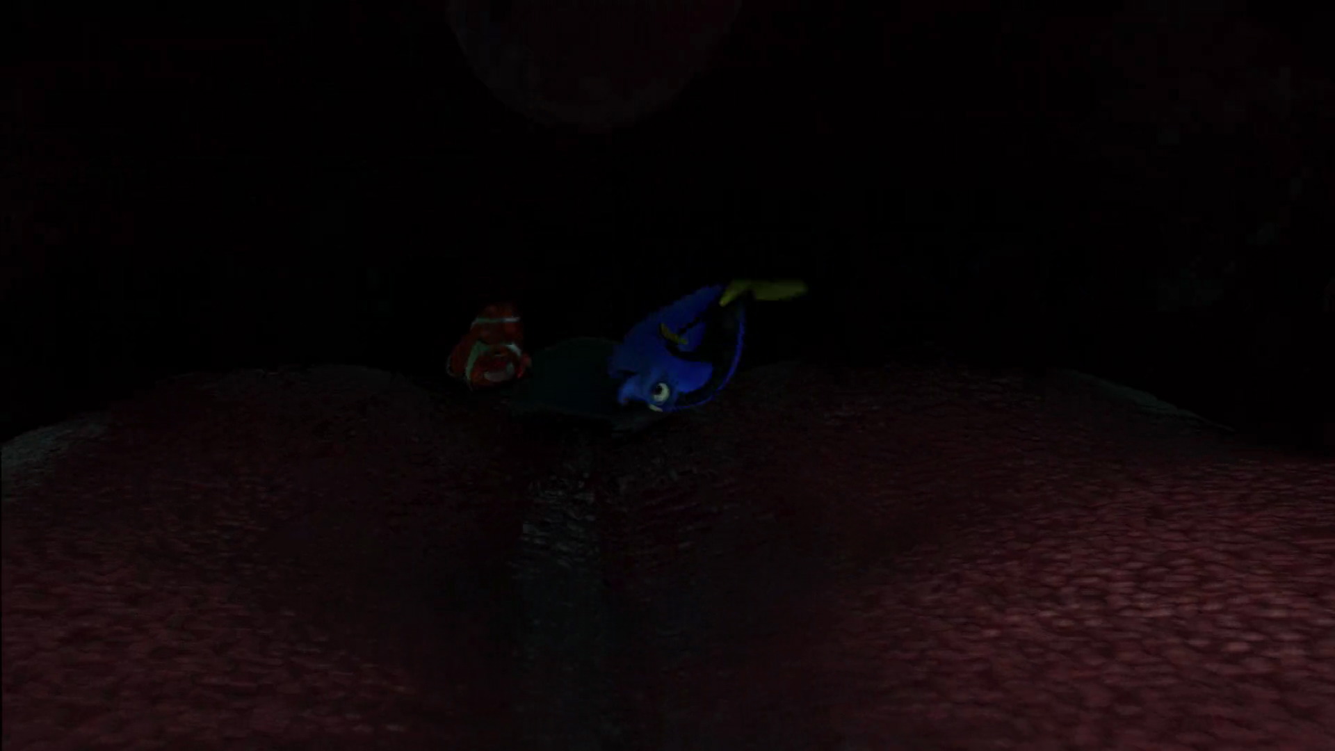 Image Finding Nemo 8578 Disney Wiki
