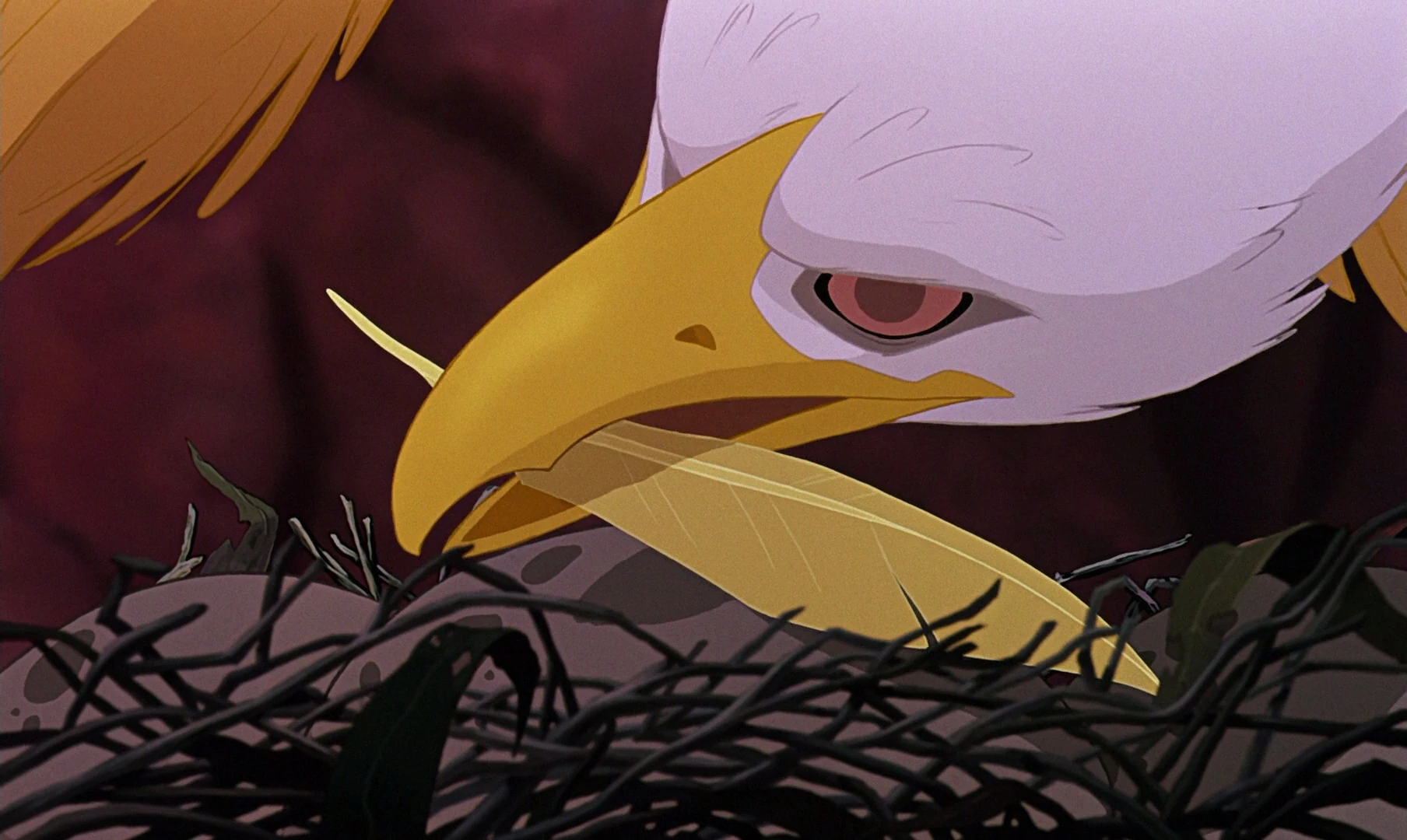 Image - Rescuers-down-under-disneyscreencaps com-1021.jpg | Disney Wiki ...
