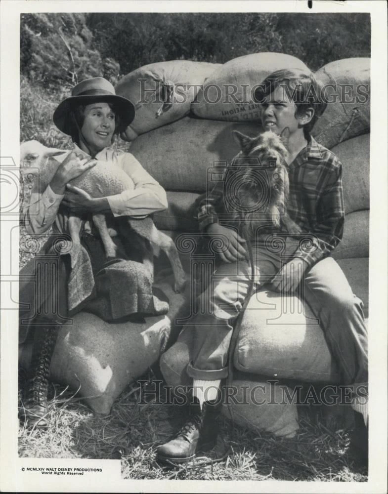 The Young Loner | Disney Wiki | FANDOM powered by Wikia