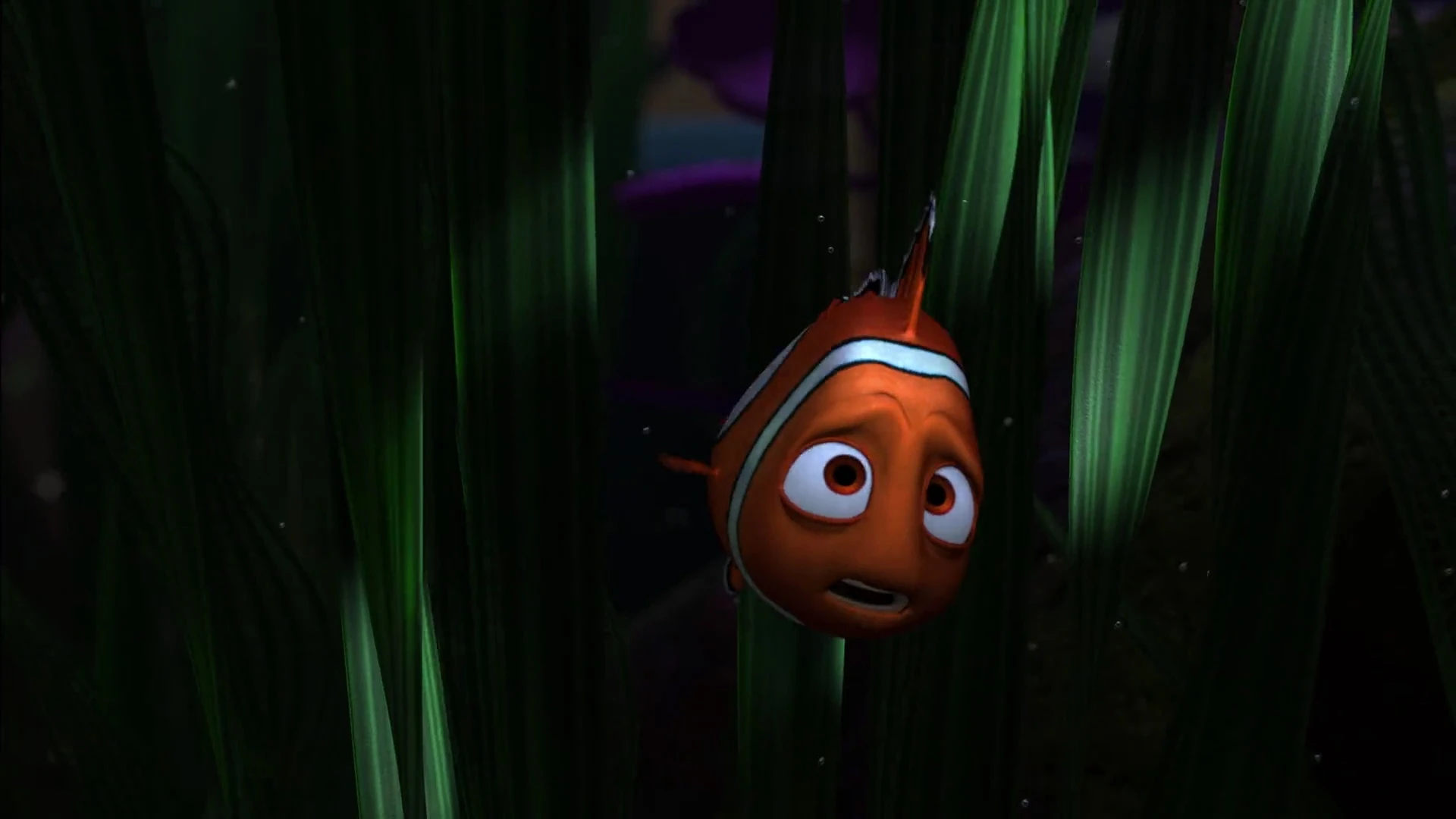Image - Finding-nemo-disneyscreencaps.com-2860.jpg | Disney Wiki ...