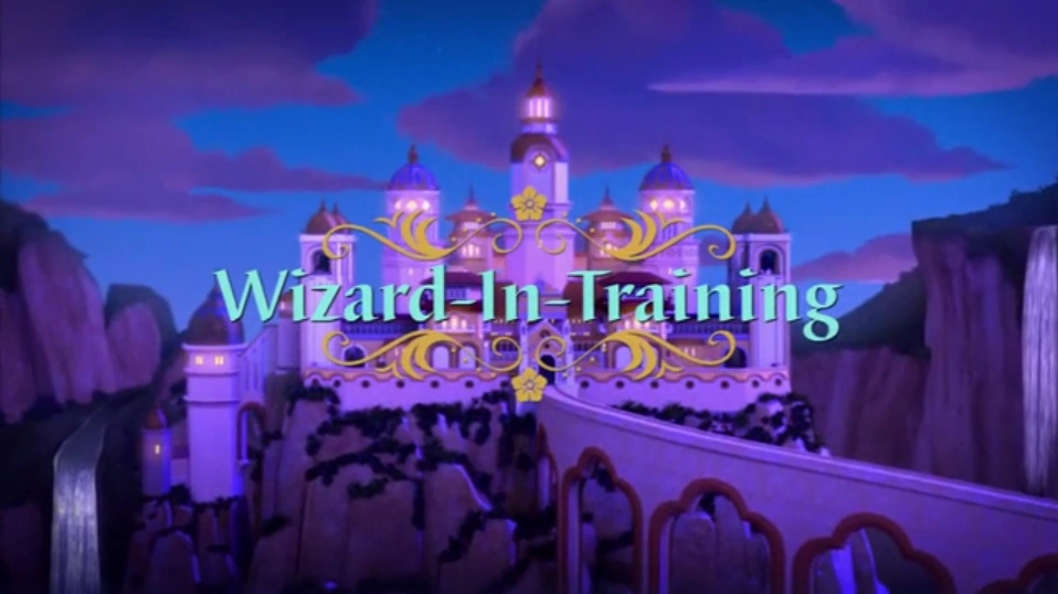 Wizard-in-Training | Disney Wiki | Fandom