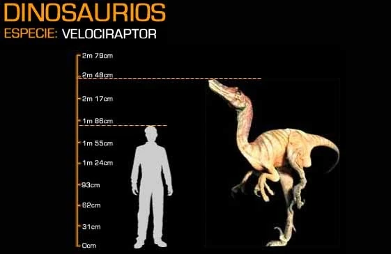 Image - Velociraptor.jpg | Disney Wiki | FANDOM powered by Wikia
