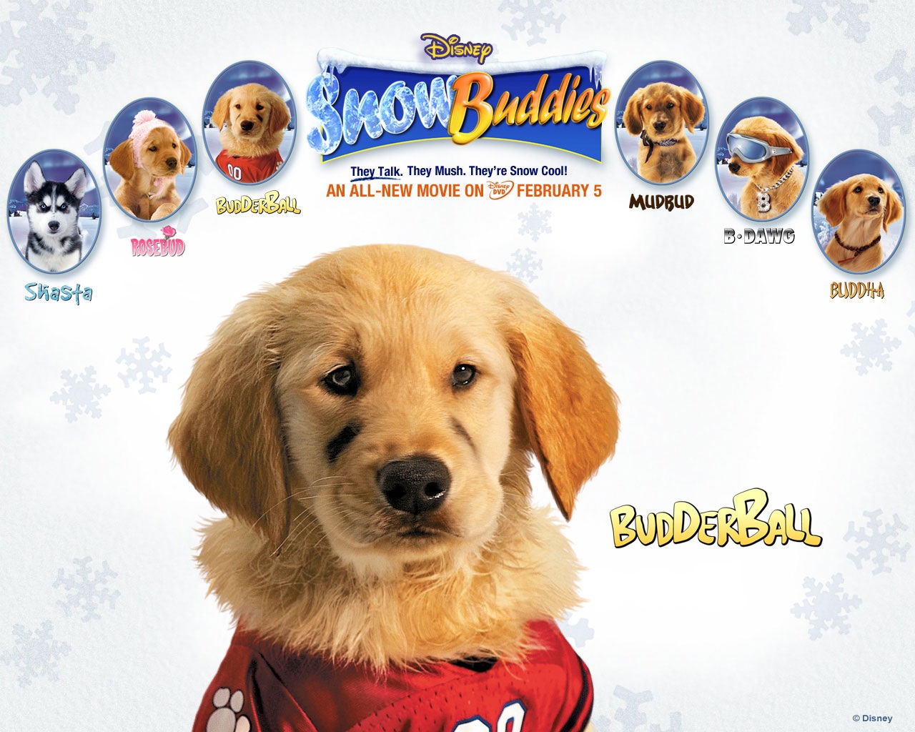 Image Snow Buddies Budderball jpg Disney Wiki FANDOM Powered By Wikia image-snow-buddies-budderball-jpg-disney-wiki-fandom-powered-by-wikia